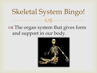 Skeletal system bingo! | PPTX