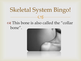 Skeletal system bingo! | PPTX