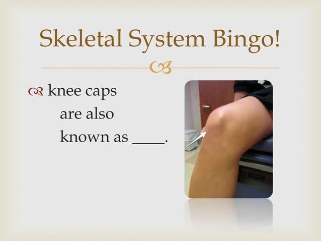 Skeletal system bingo! | PPTX | Death, Injury, or Military Conflict ...
