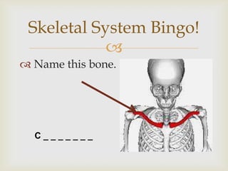 Skeletal system bingo! | PPT