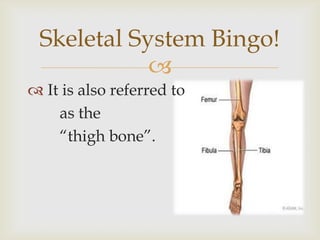 Skeletal system bingo! | PPTX