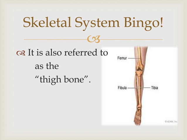 Skeletal system bingo! | PPTX | Death, Injury, or Military Conflict ...