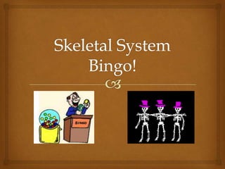 Skeletal system bingo! | PPT