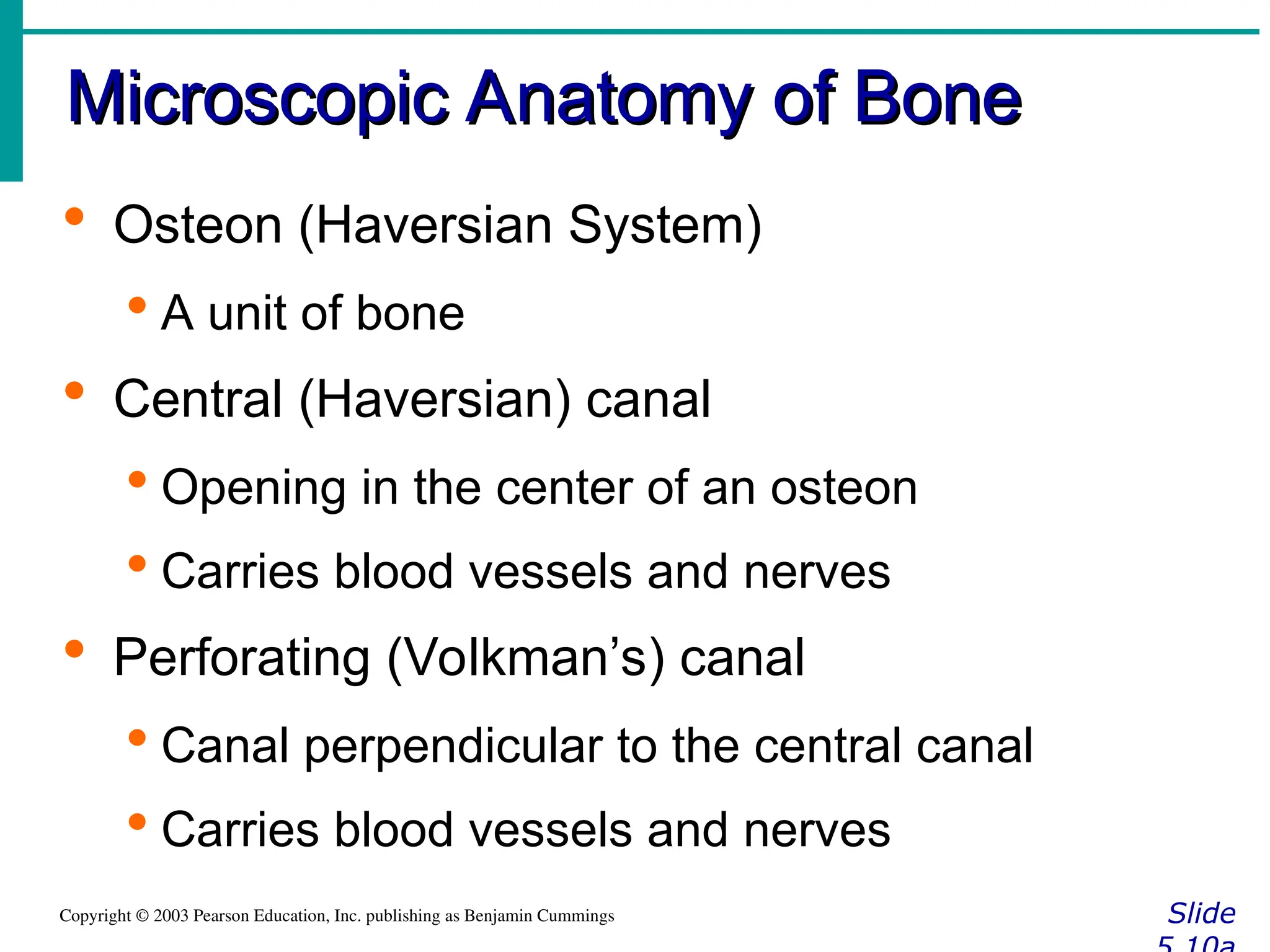 skeletal system bone classification & structure powerpoint (chapter 6).ppt