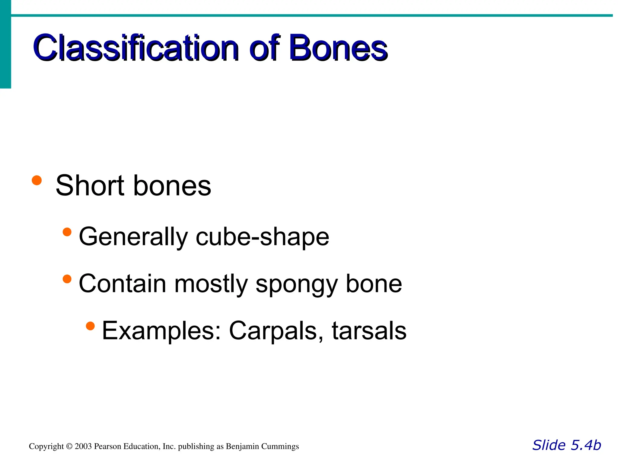 skeletal system bone classification & structure powerpoint (chapter 6).ppt