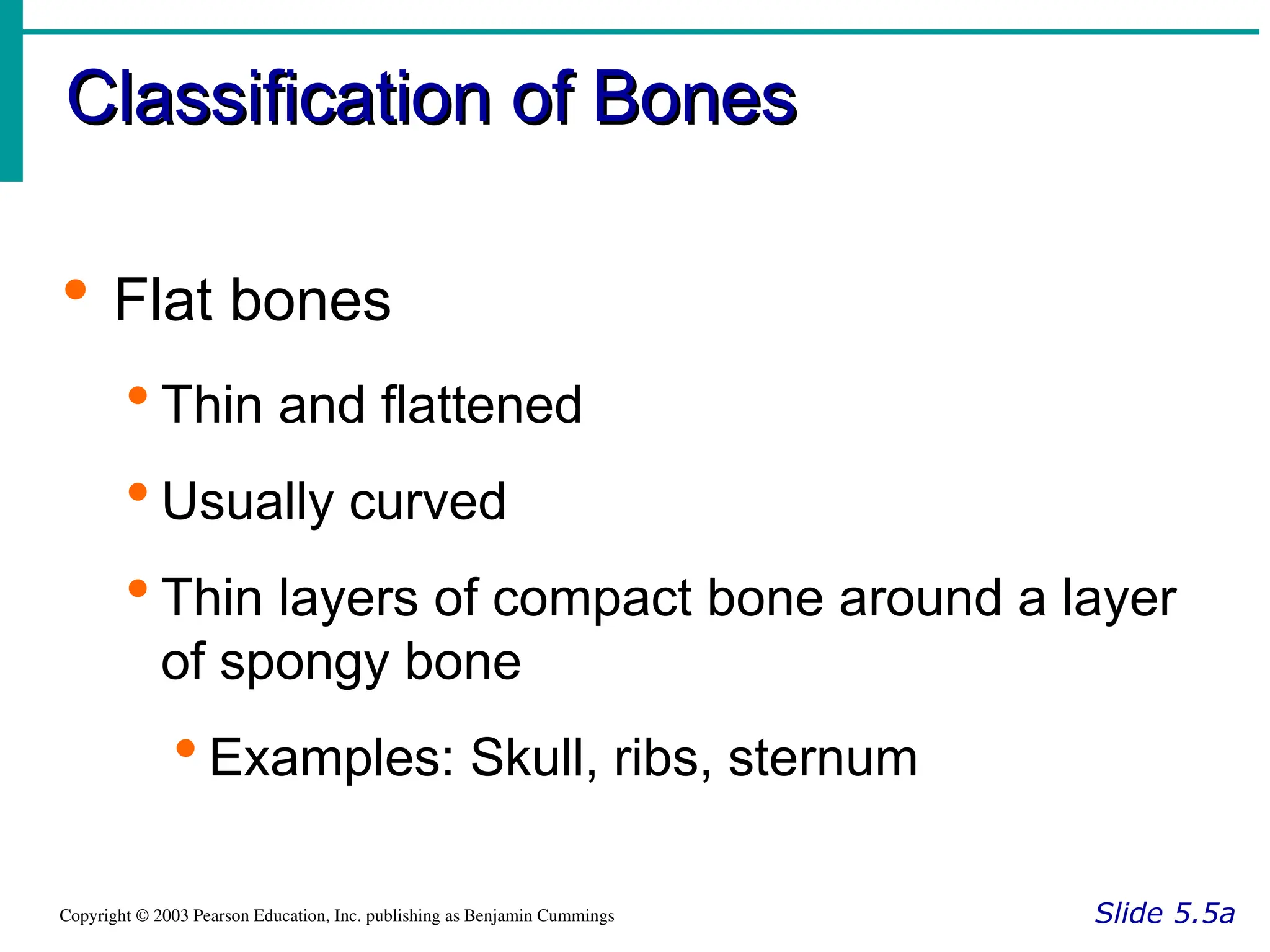 skeletal system bone classification & structure powerpoint (chapter 6).ppt