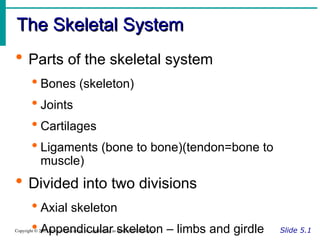 skeletal system bone classification & structure powerpoint (chapter 6).ppt