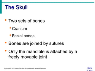 skeletal system bone classification & structure powerpoint (chapter 6).ppt