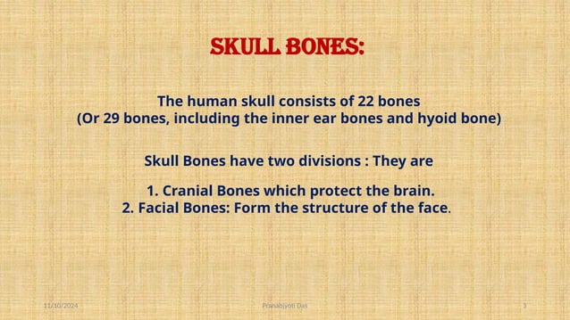 Human Skeletal System, Class 11 (Science).pptx | Death, Injury, or ...