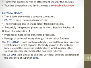 Skeletal system d.ph1-athira | PPT