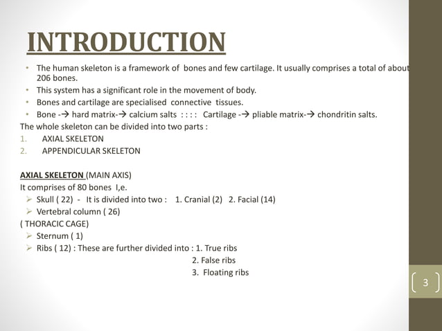 Skeletal system d.ph1-athira | PPT