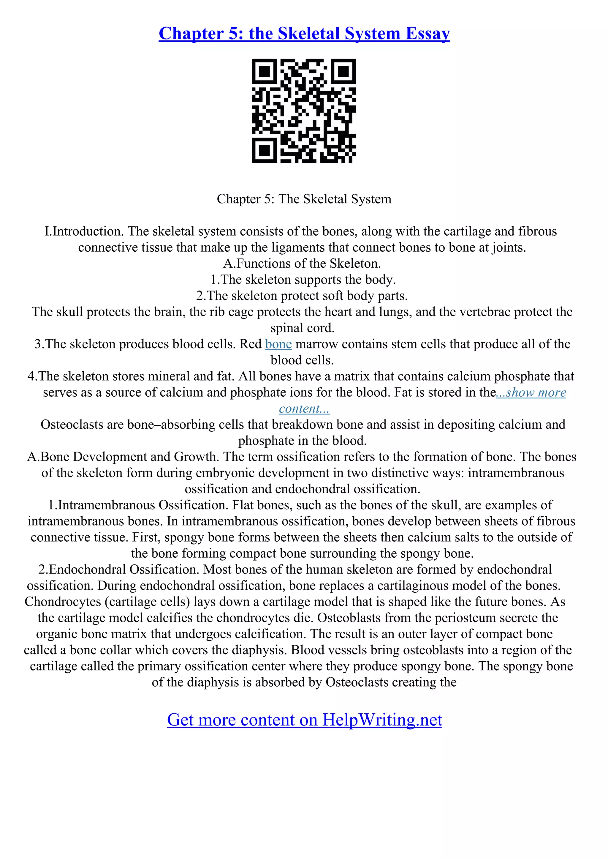 Skeletal System Essay | PDF