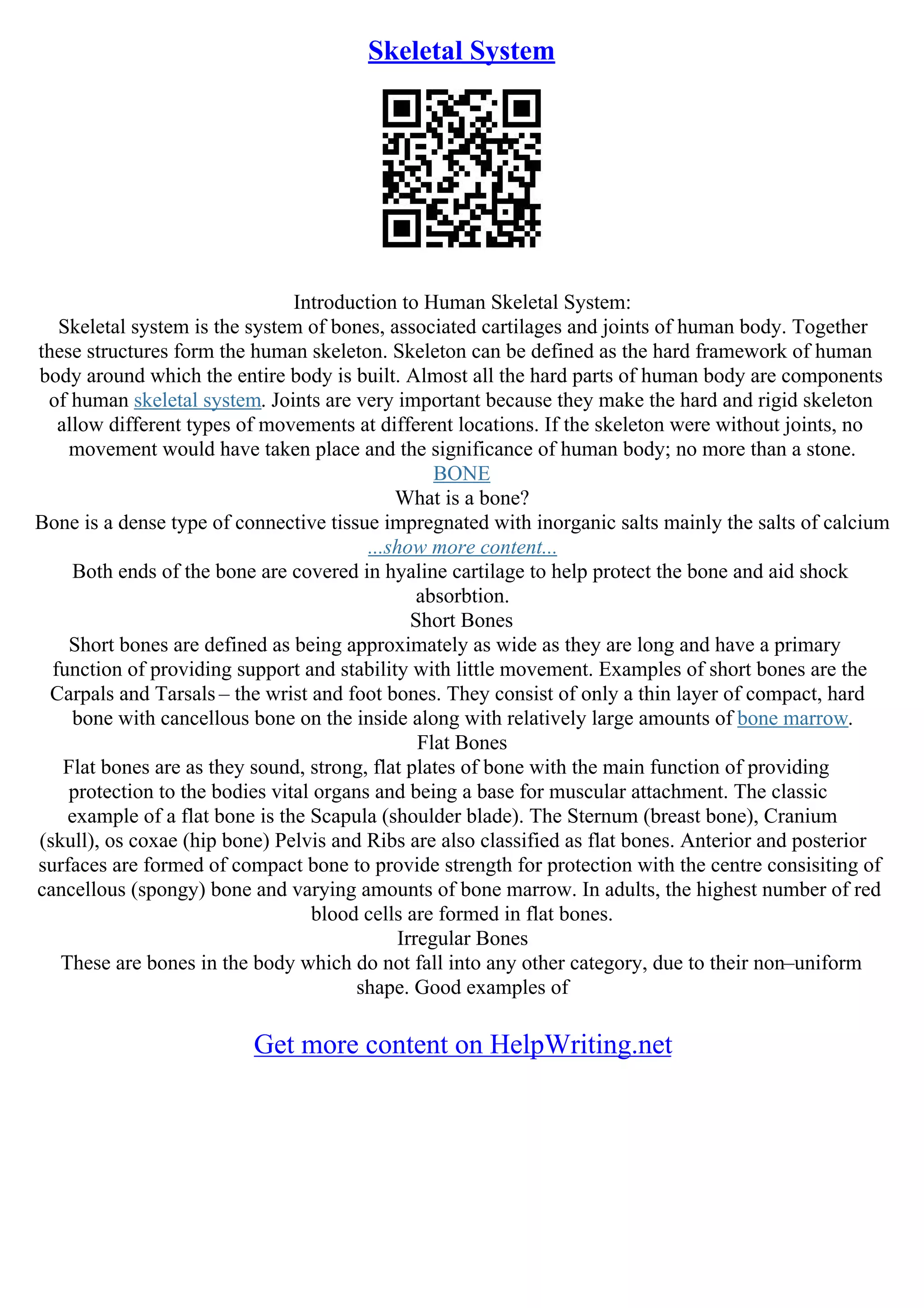 Skeletal System Essay | PDF