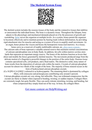Skeletal System Essay | PDF