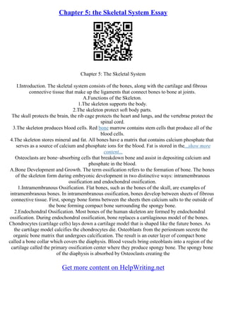 Skeletal System Essay | PDF