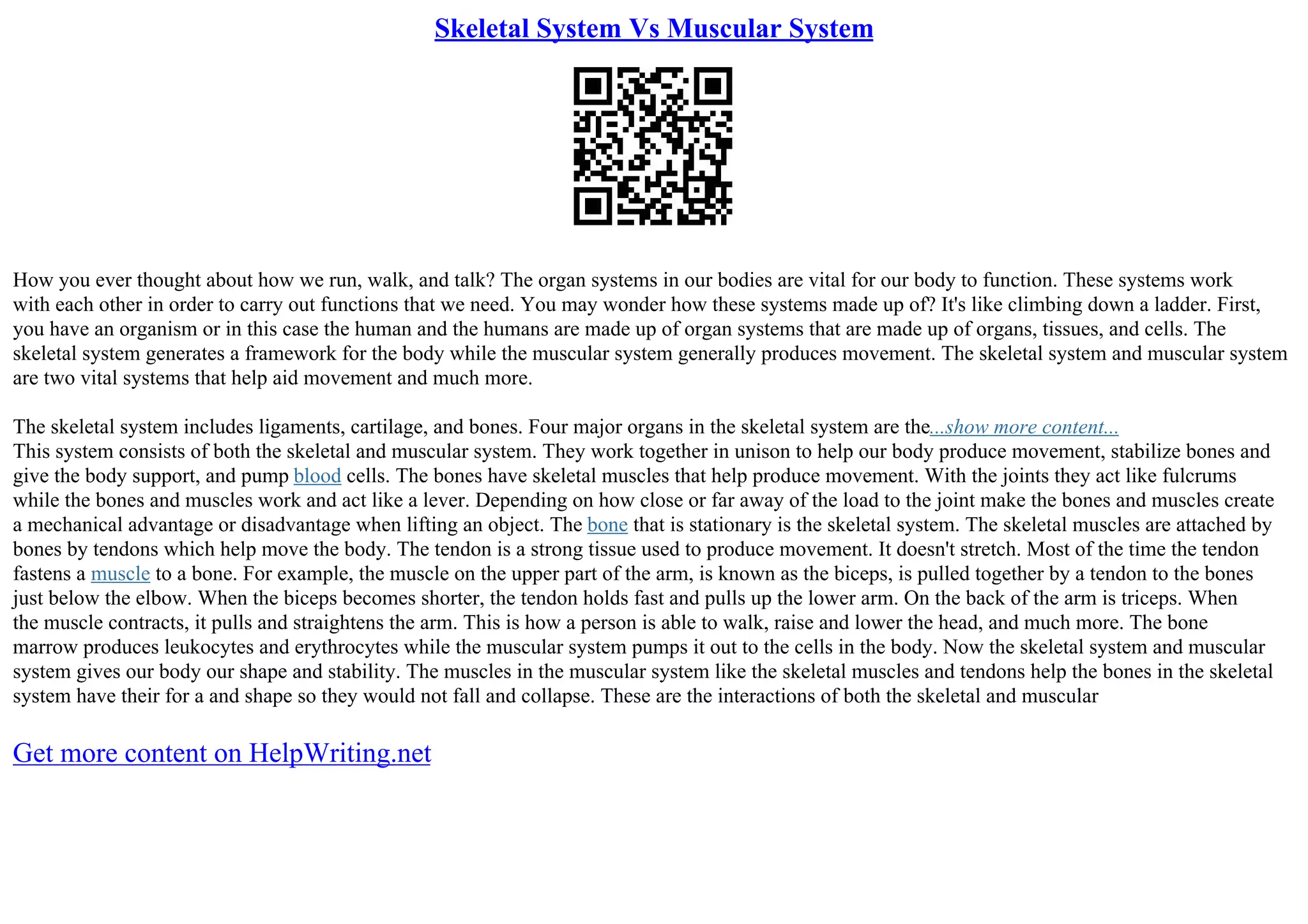 Skeletal System Essay | PDF