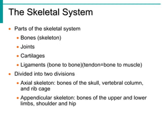 skeletal system for yoga net jrf .ppt