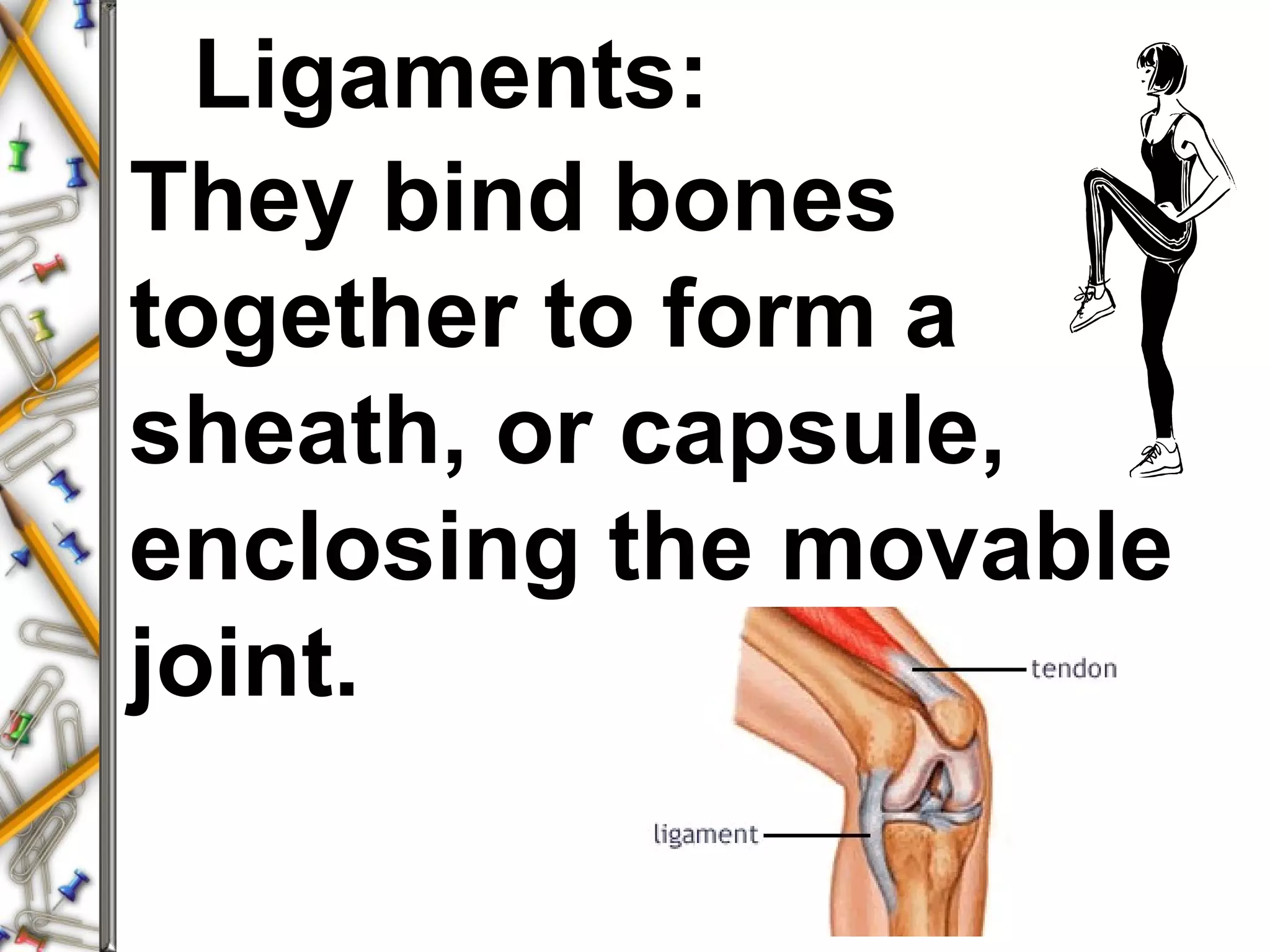 Skeletal System | PPT