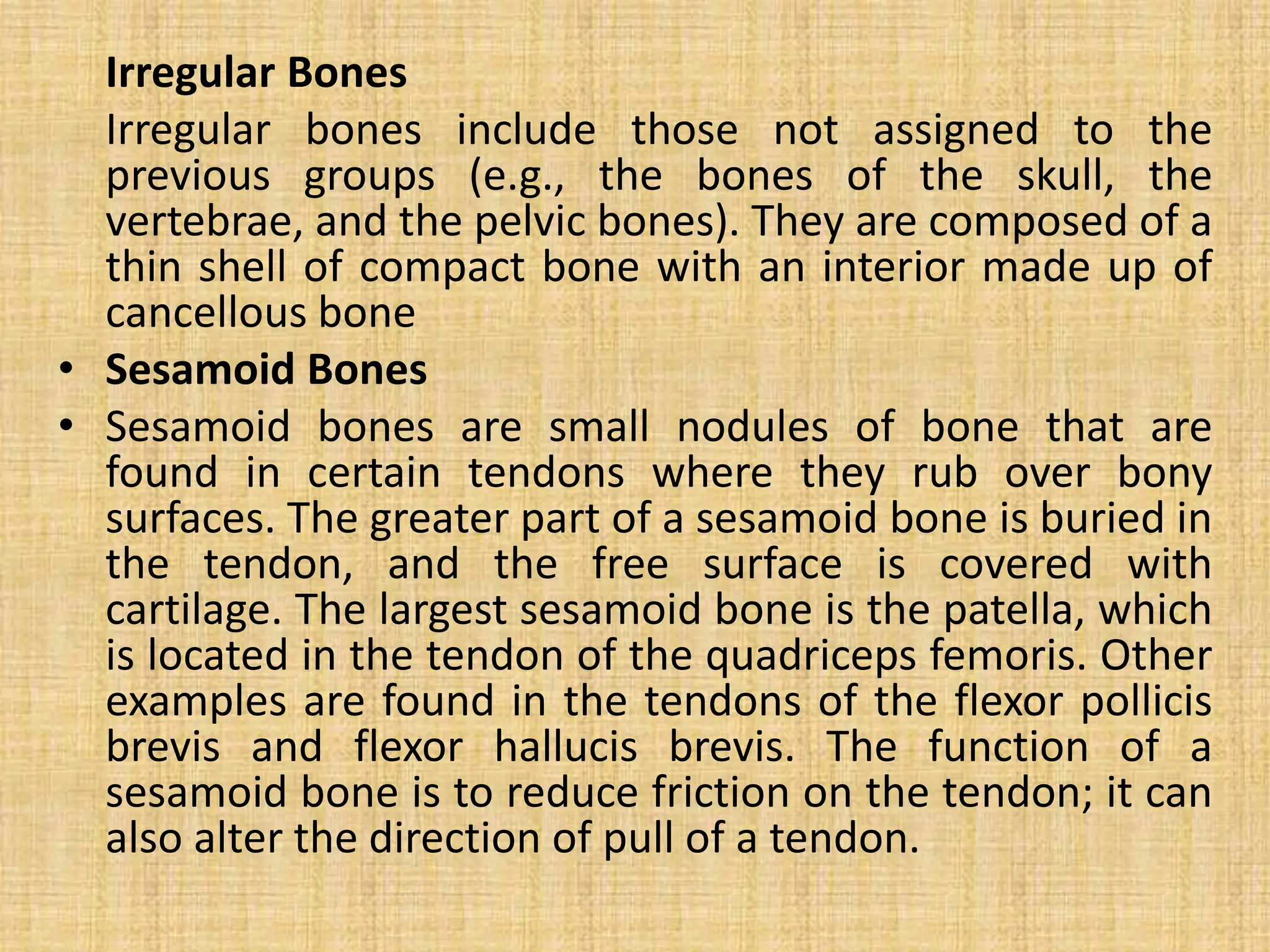 Skeletal System I .pptx