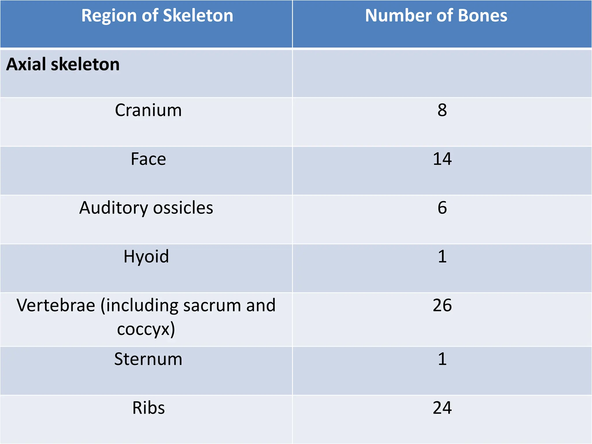 Skeletal System I .pptx