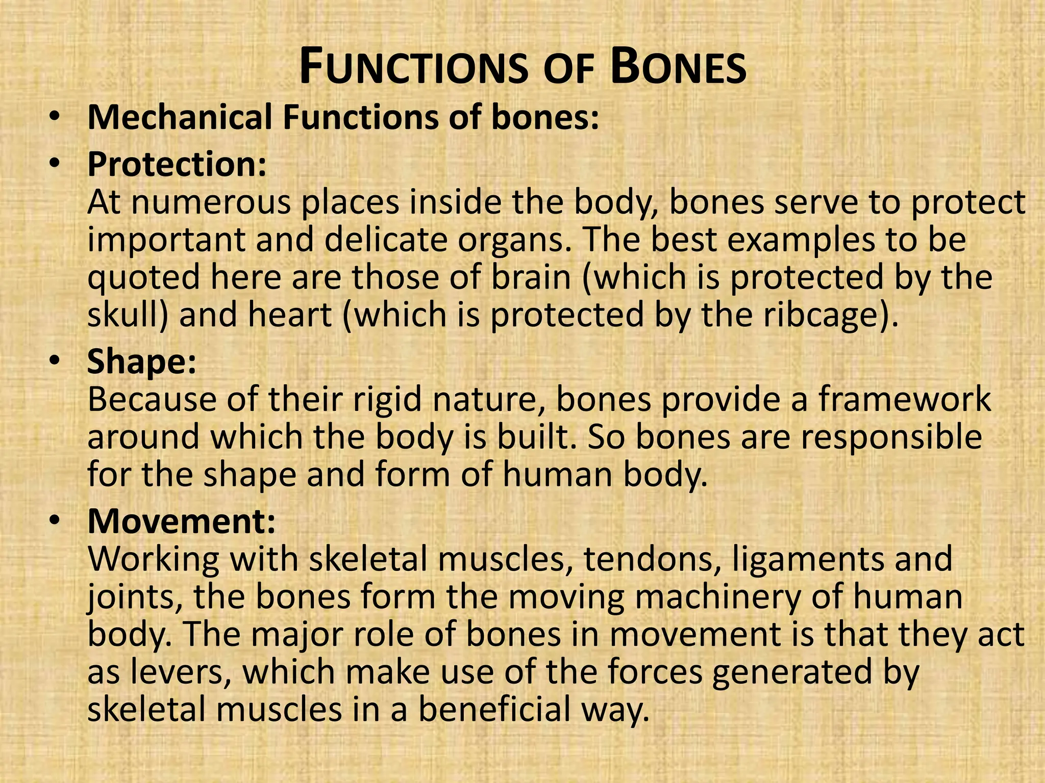 Skeletal System I .pptx