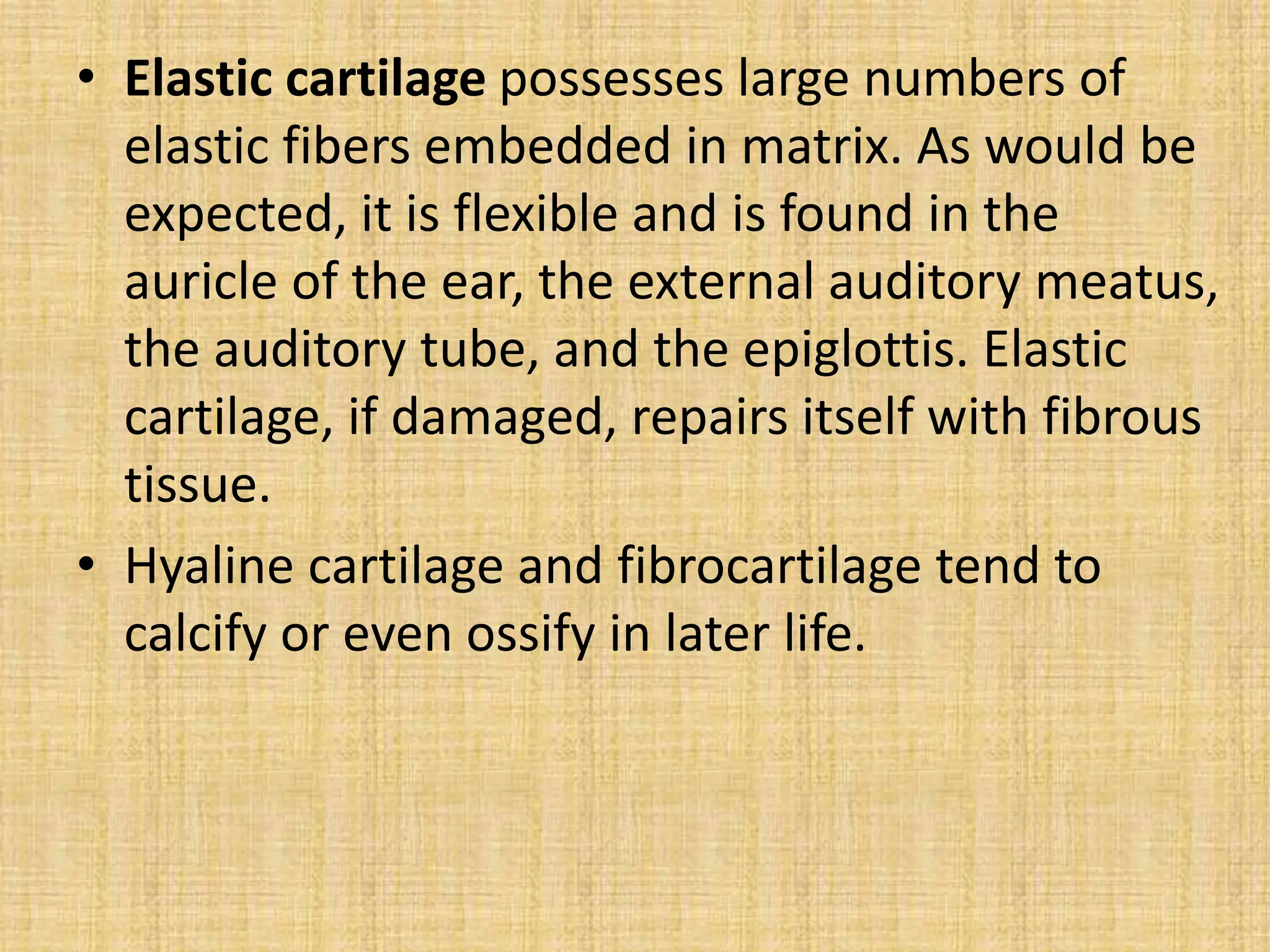 Skeletal System I .pptx