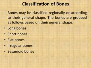 Skeletal System I .pptx