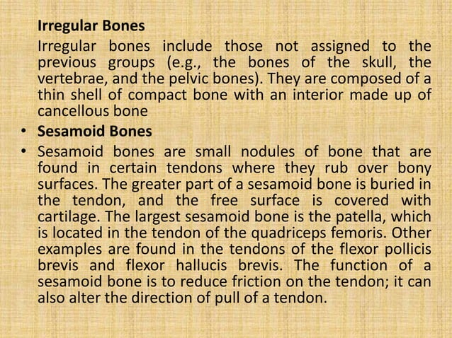 Skeletal System I .pptx