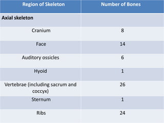 Skeletal System I .pptx