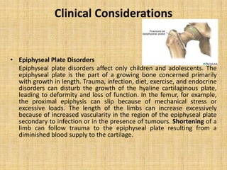 Skeletal System I .pptx
