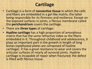 Skeletal System I .pptx