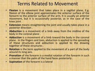 Skeletal System I .pptx