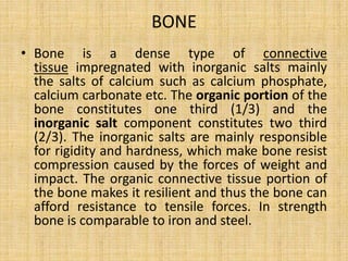 Skeletal System I .pptx