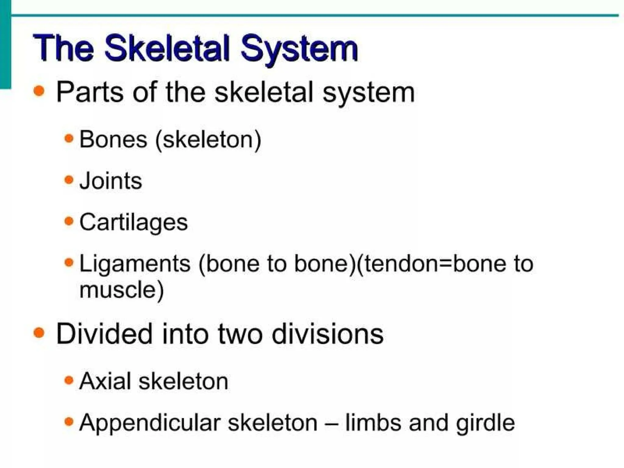 skeletal system II.ppt human anatomy and physiology b pharm I year | PPT