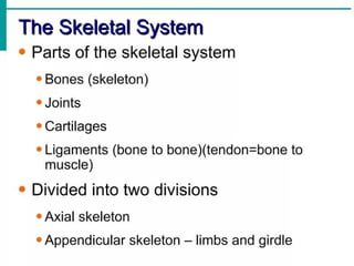 skeletal system II.ppt human anatomy and physiology b pharm I year | PPT