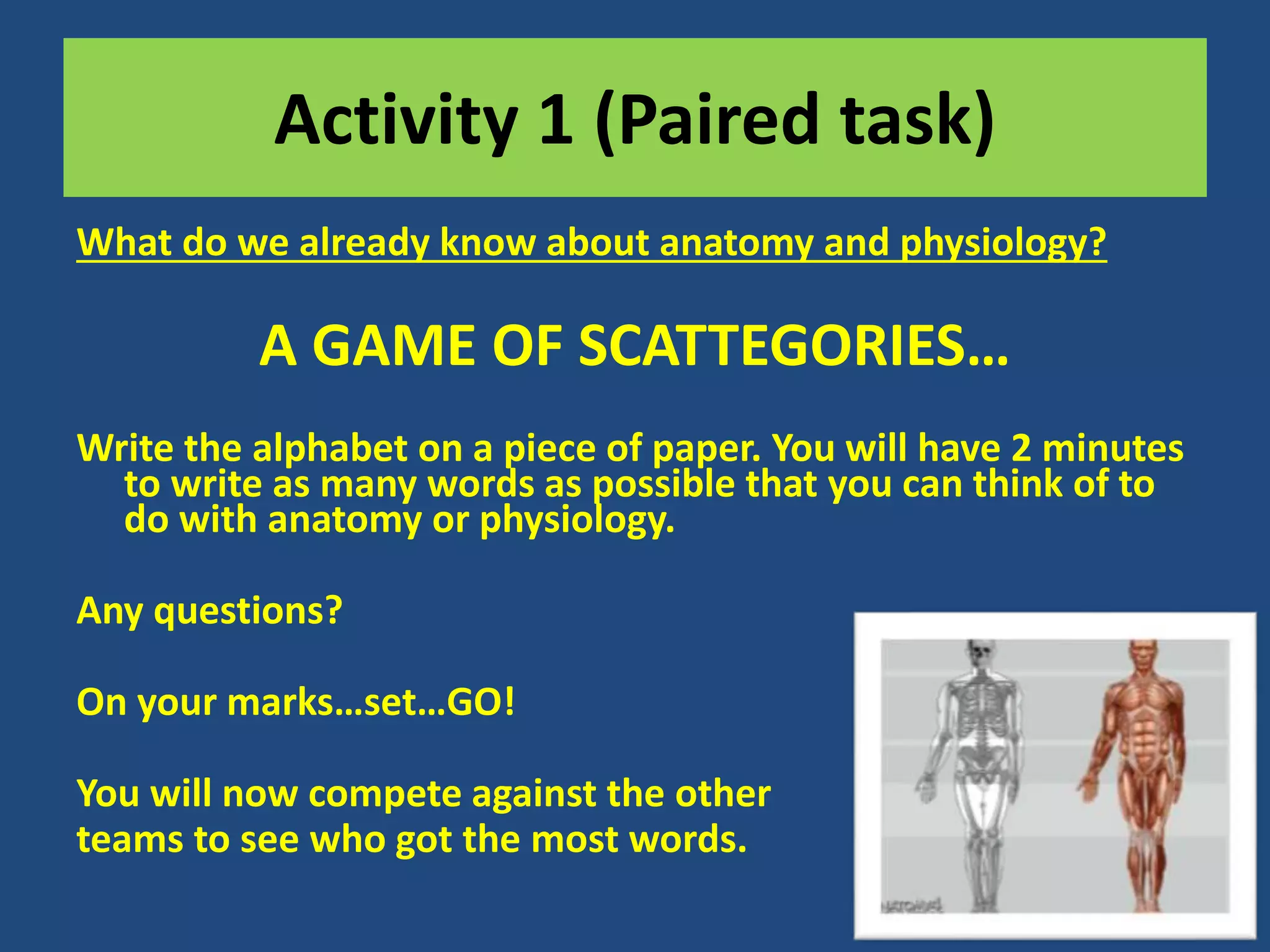 Skeletal system introduction | PPT
