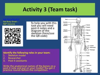 Skeletal system introduction | PPT