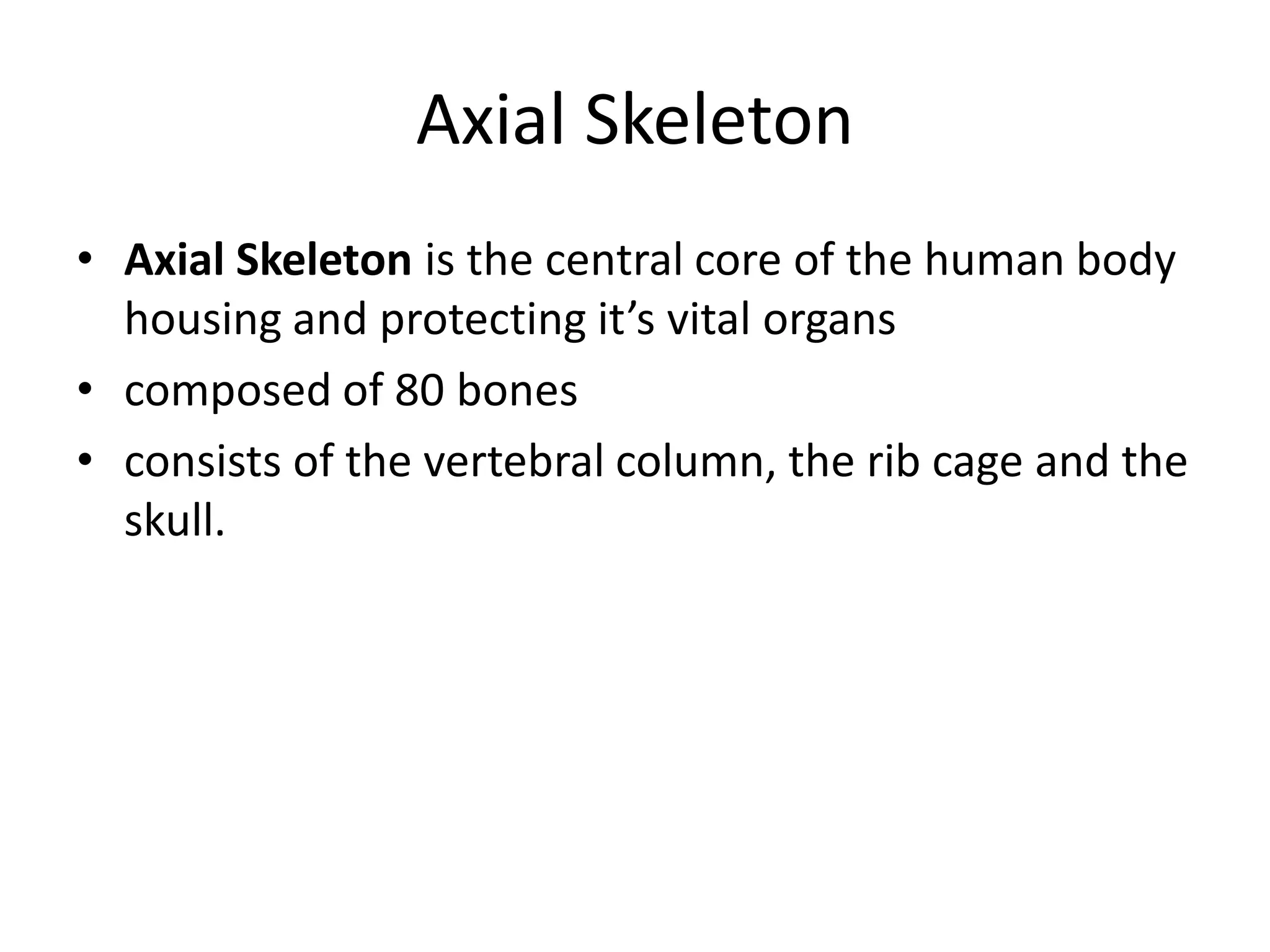 Skeletal System | PDF