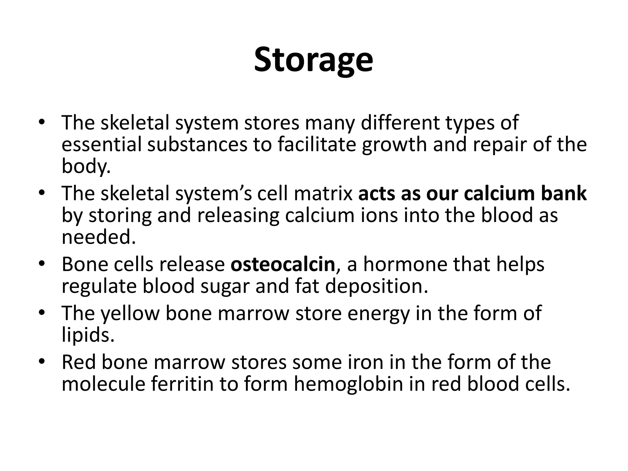 Skeletal System | PDF