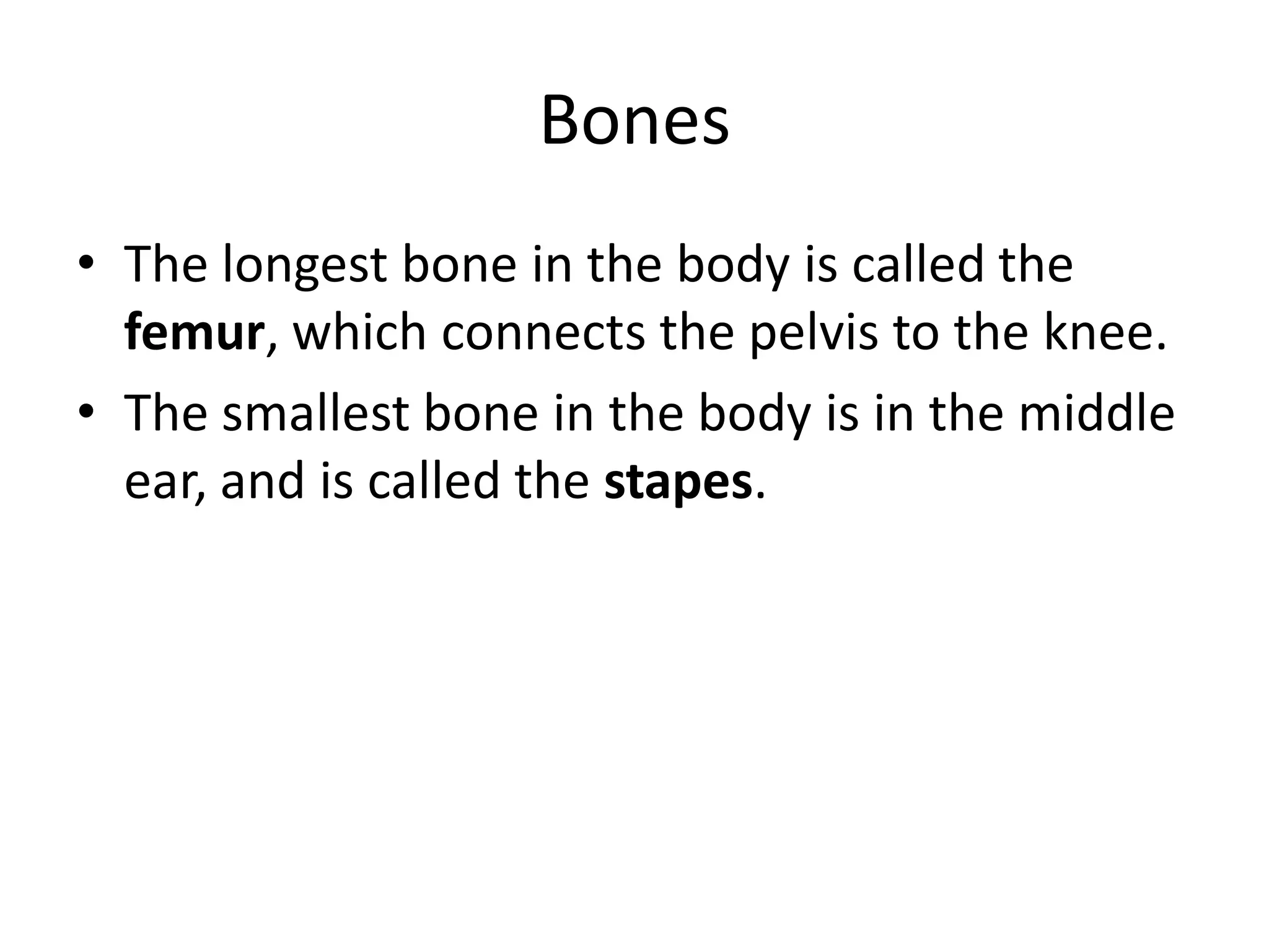 Skeletal System | PDF