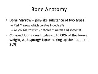Skeletal System | PPT