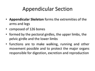 Skeletal System | PPT