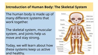 Skeletal System, Muscular System And Joints For Grade 5.pptx