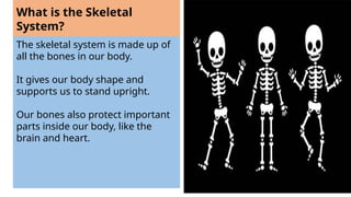 Skeletal System, Muscular System And Joints For Grade 5.pptx
