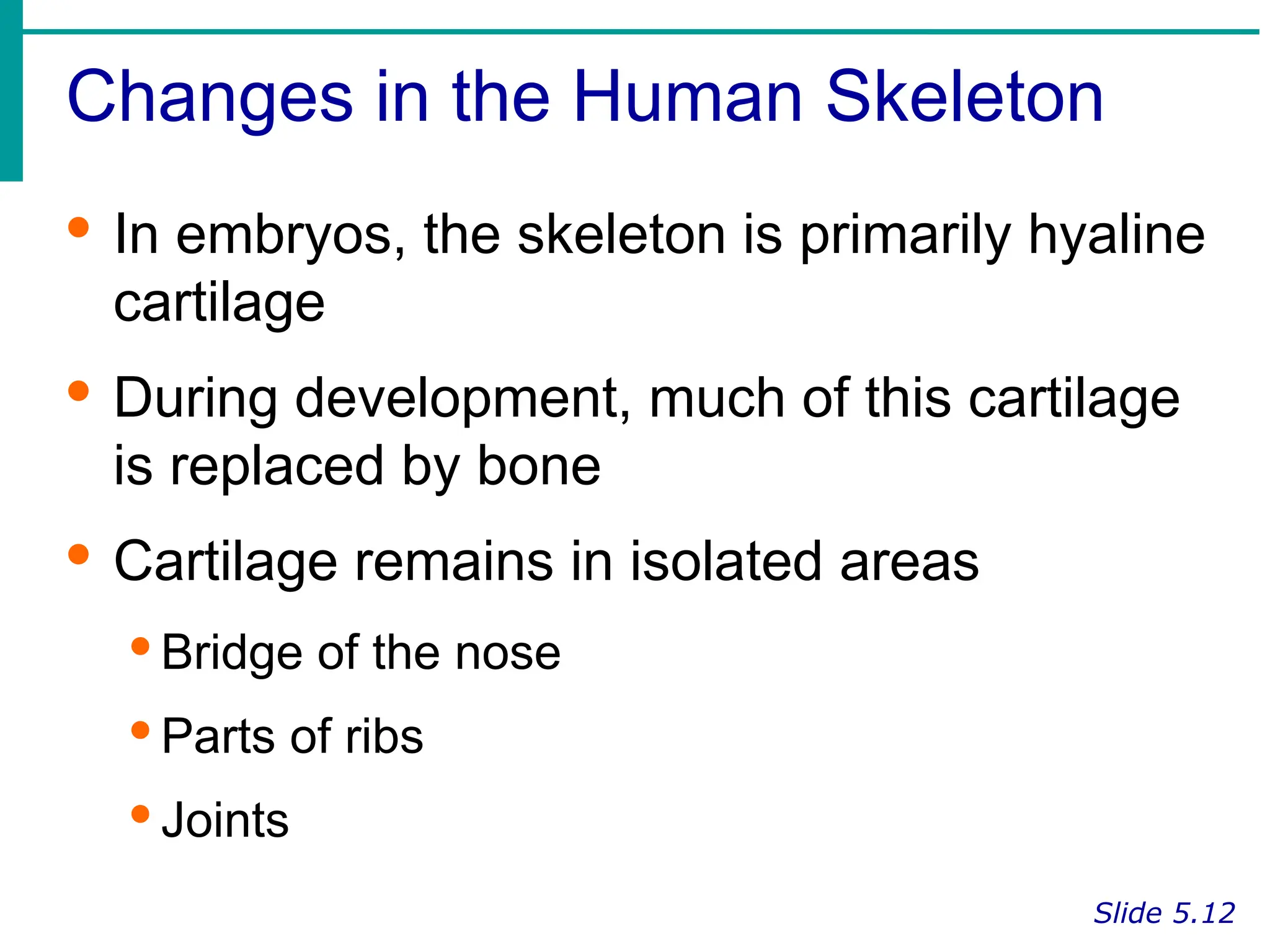 skeletal System Notes-1.ppt and the good notes | PPT
