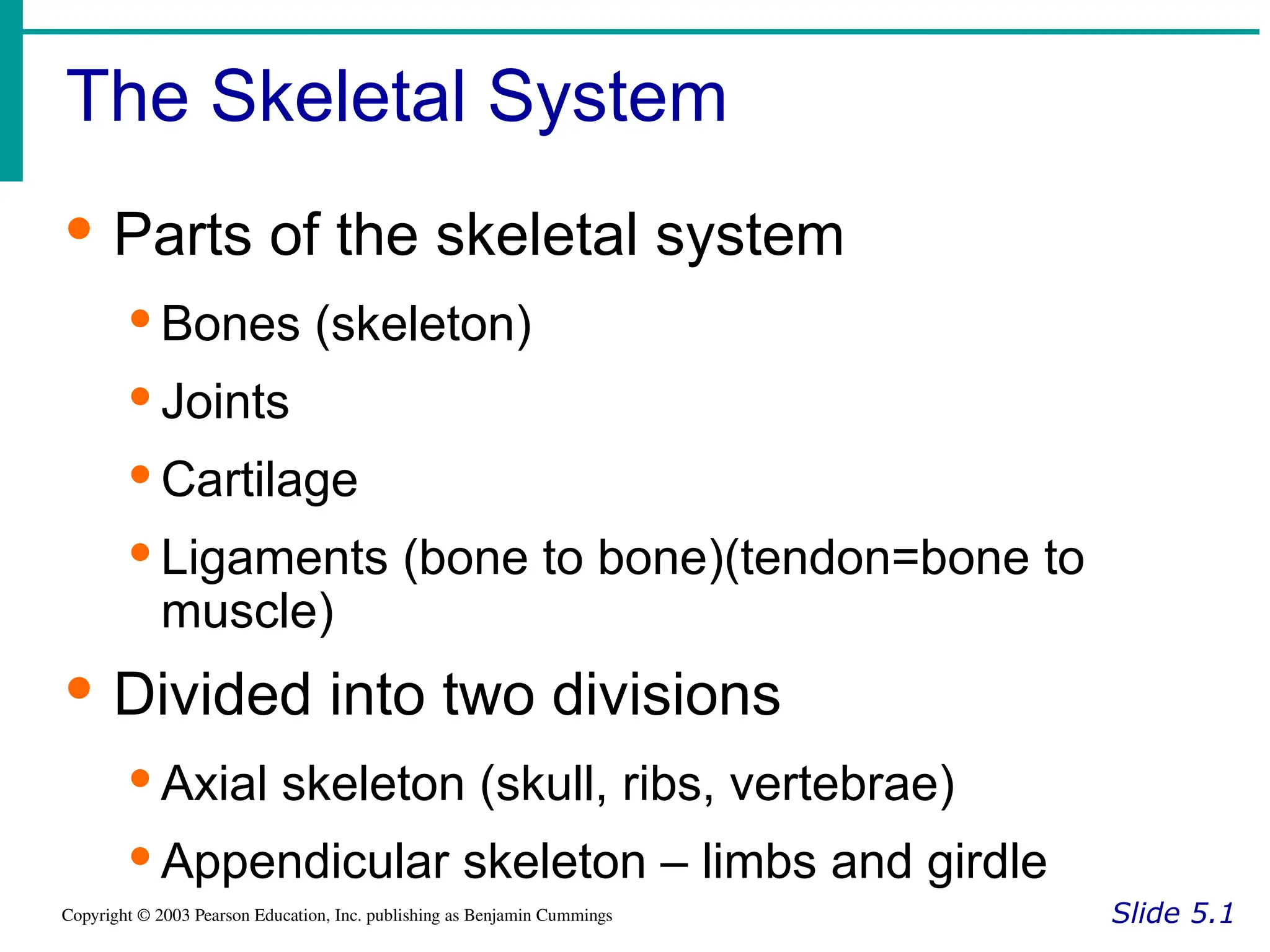 skeletal System Notes-1.ppt and the good notes | PPT