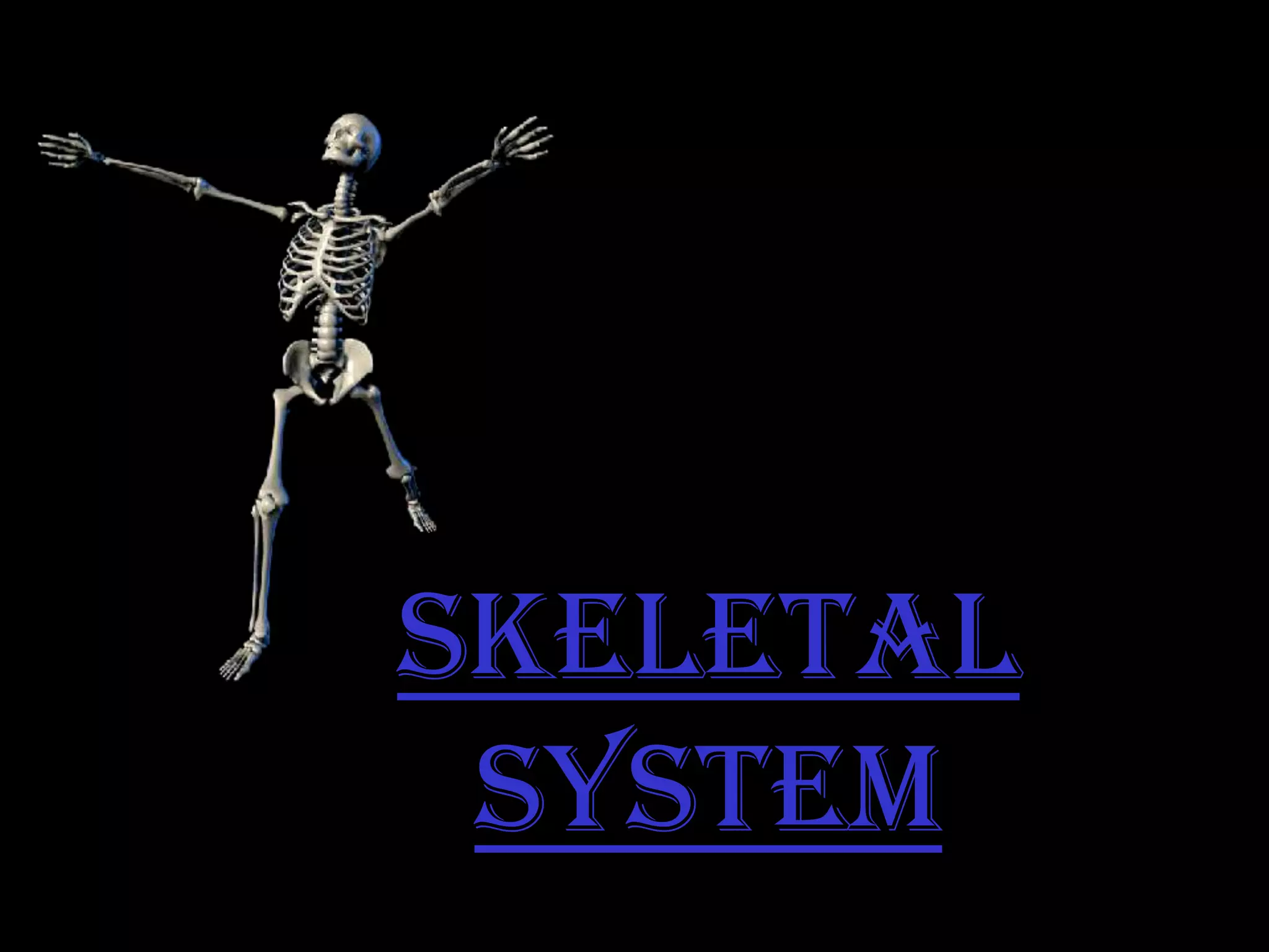 Skeletal System Notes | PPT