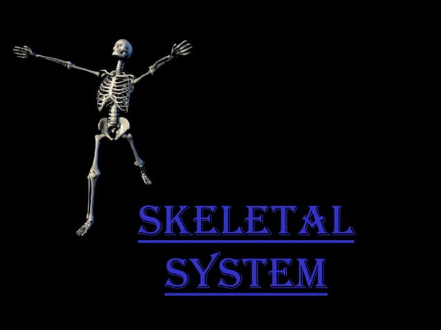 Skeletal System Notes | PPT