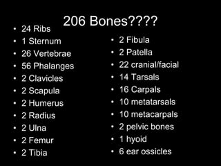 Skeletal System Notes | PPTX