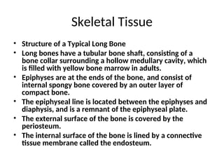 Intro to Biomech- Skeletal system notes 2019.ppt